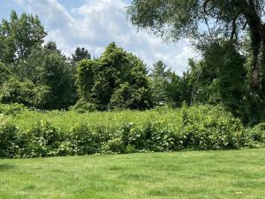 Manus Realty | Grand Rapids, MI Real Estate Agents